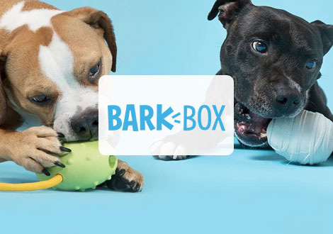 Benefits Alert Volume 522 | WeSalute